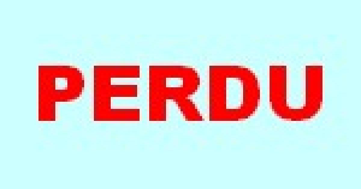 Used Perdu machines for sale • Duijndam Machines