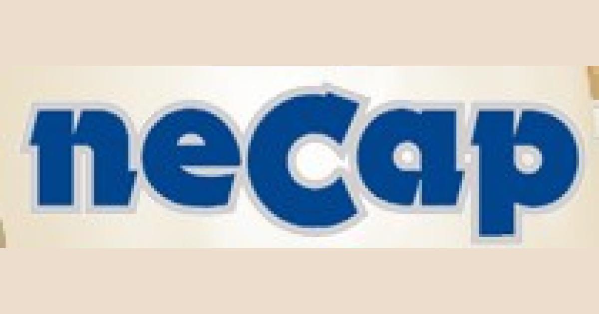 Used Necap machines for sale • Duijndam Machines