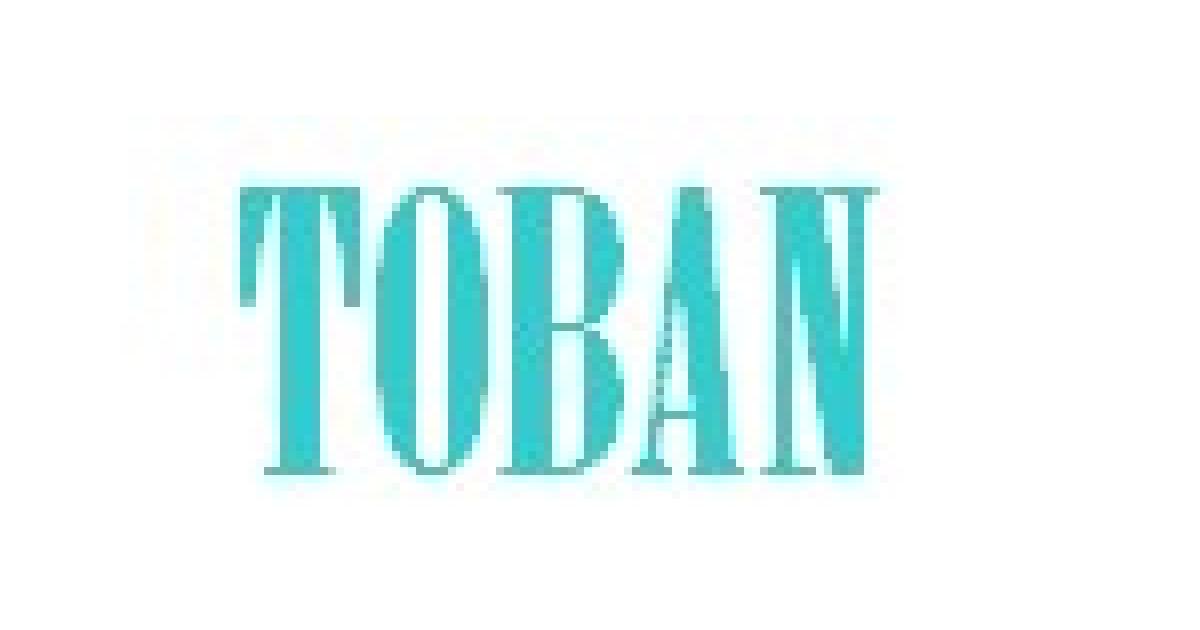 Used Toban machines for sale • Duijndam Machines