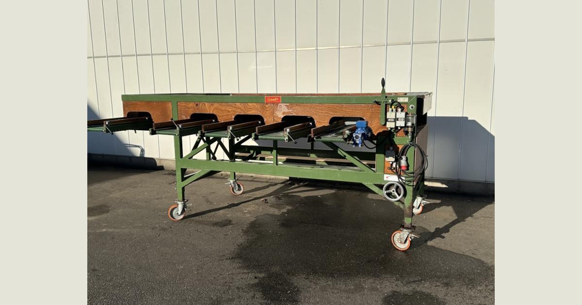 Schouten SMB 60/100-4 sorting machine for flower bulbs and Brussels ...