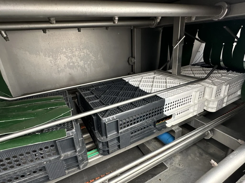 Numafa HWR200/2 • Duijndam Machines