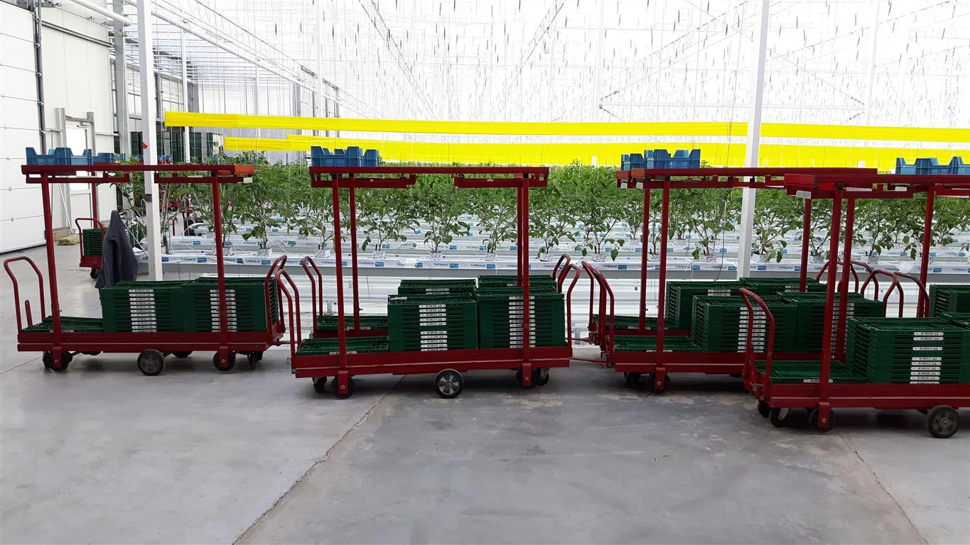 Taks fully automatic unloading system for destacking boxes from pipe ...