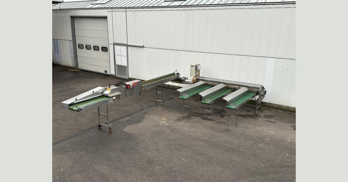 Christiaens 3000-6/3 semi-automatic grading machine and washer for ...