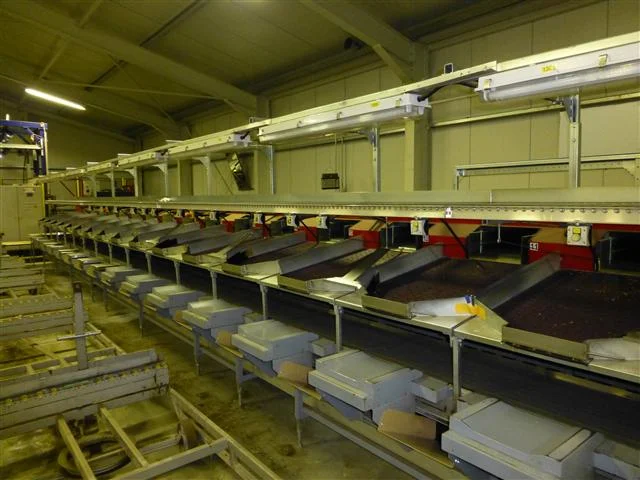 Aweta GM-4 24 sorting machine for peppers year 2009 • Duijndam Machines