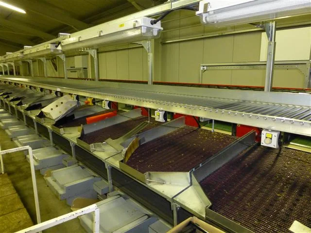 Aweta GM-4 24 sorting machine for peppers year 2009 • Duijndam Machines