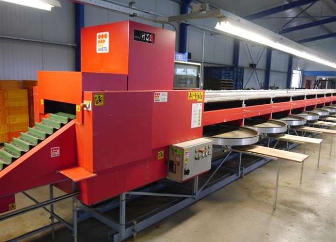 Aweta GSM-12 weight and length sorting machine for cucumbers • Duijndam ...