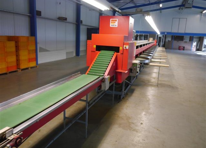 Aweta GSM-12 weight and length sorting machine for cucumbers • Duijndam ...
