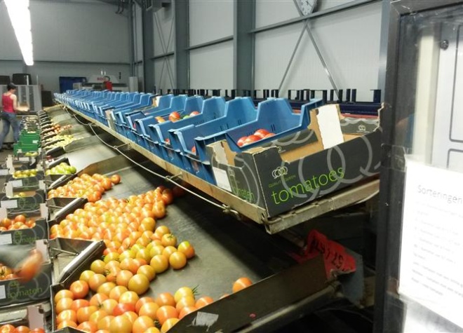 Aweta KG4-16 + 1 tomate machine de tri pour la couleur et le poids ...