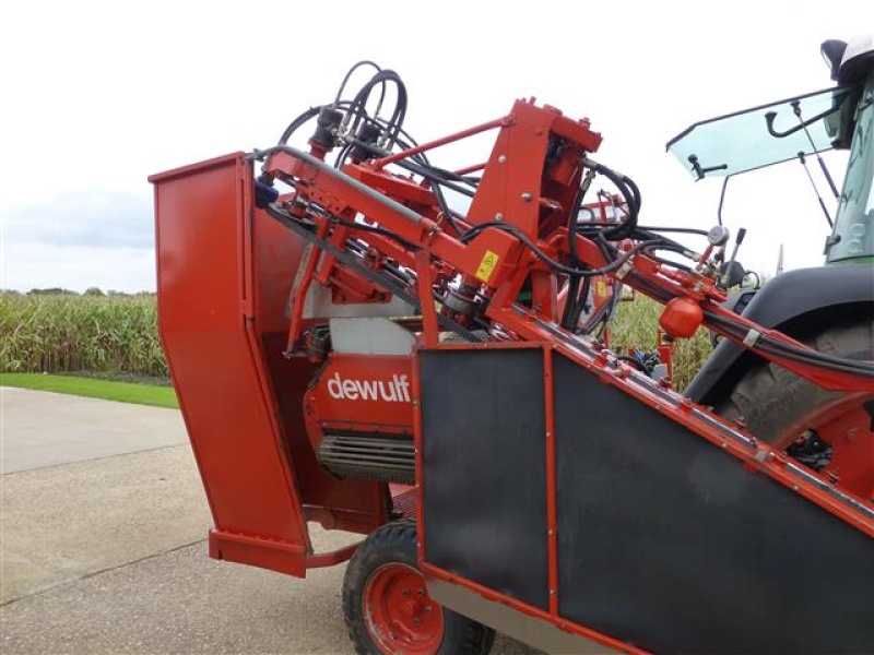 Dewulf 1 rang Cueilleur pour les carottes • Duijndam Machines