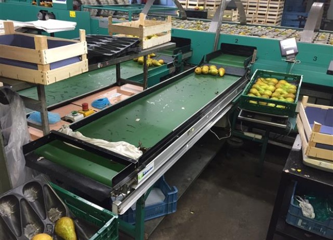 Greefa MSE 6 lijns fruitsorteermachine • Duijndam Machines
