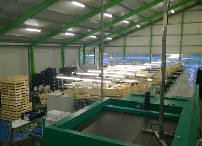 Greefa MSE sorting machine with Burg bin water dumper • Duijndam Machines