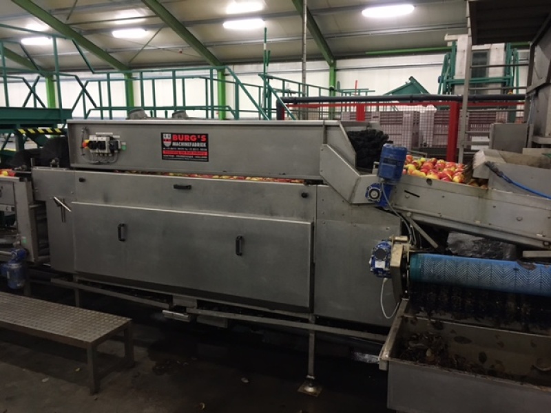 Greefa MSE 6 lijn sorteermachine met Burg waterdumper • Duijndam Machines