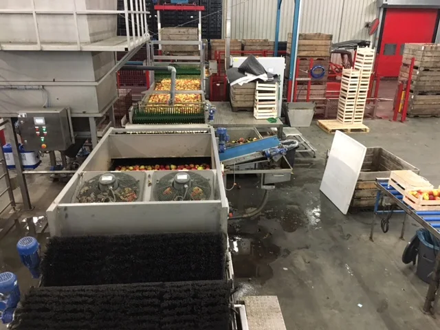 Greefa MSE sorting machine with Burg bin water dumper • Duijndam Machines