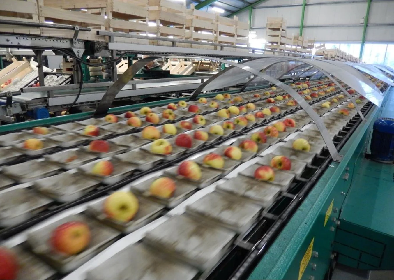 Greefa MSE sorting machine with Burg bin water dumper • Duijndam Machines