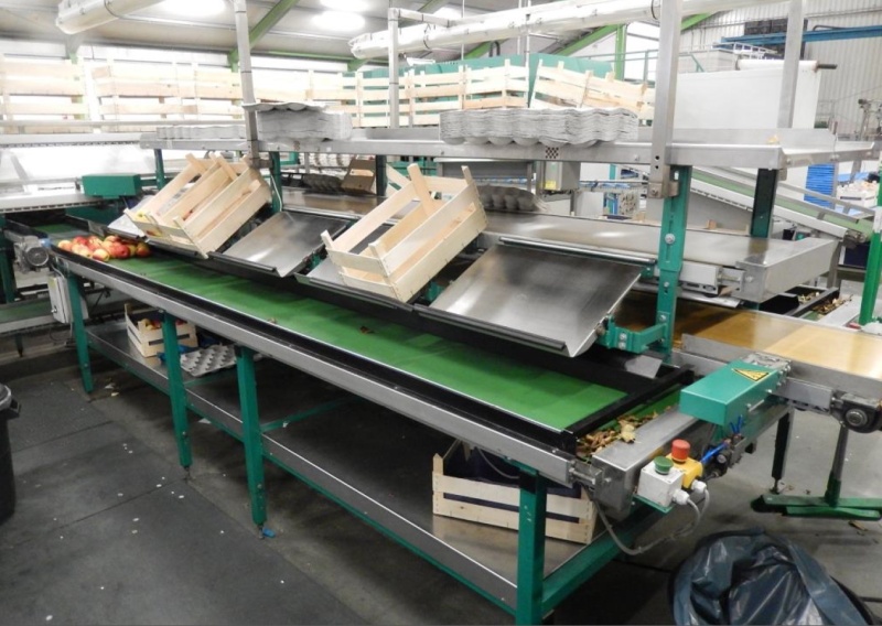 Greefa MSE sorting machine with Burg bin water dumper • Duijndam Machines