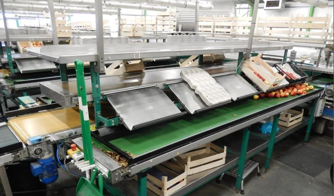 Greefa MSE sorting machine with Burg bin water dumper • Duijndam Machines