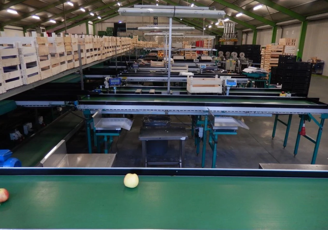 Greefa MSE sorting machine with Burg bin water dumper • Duijndam Machines