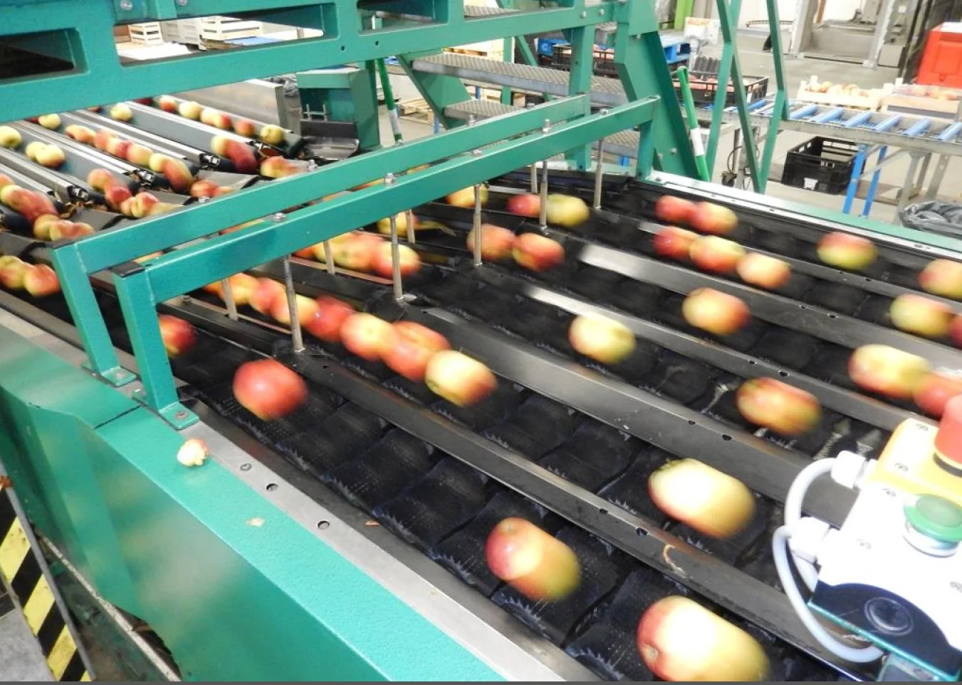 Greefa MSE sorting machine with Burg bin water dumper • Duijndam Machines