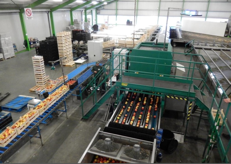 Greefa MSE sorting machine with Burg bin water dumper • Duijndam Machines