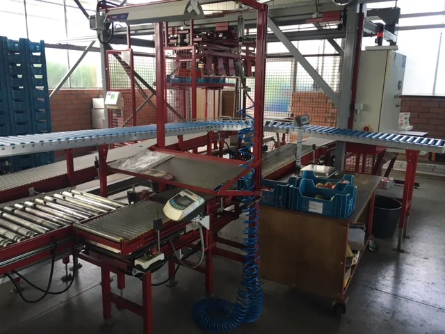 Taks unloading system for vine tomatoes with 2 weighing stations ...