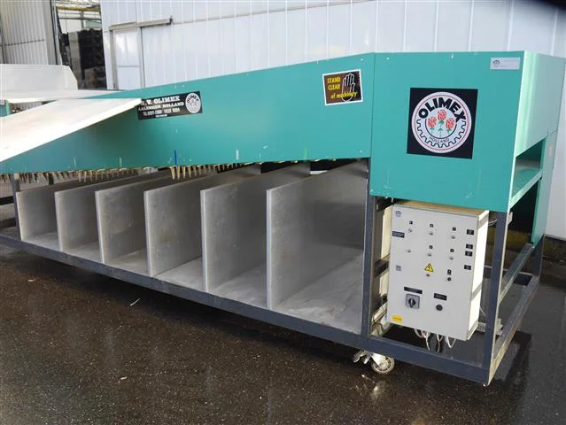 Olimex - super sorting machine for roses • Duijndam Machines