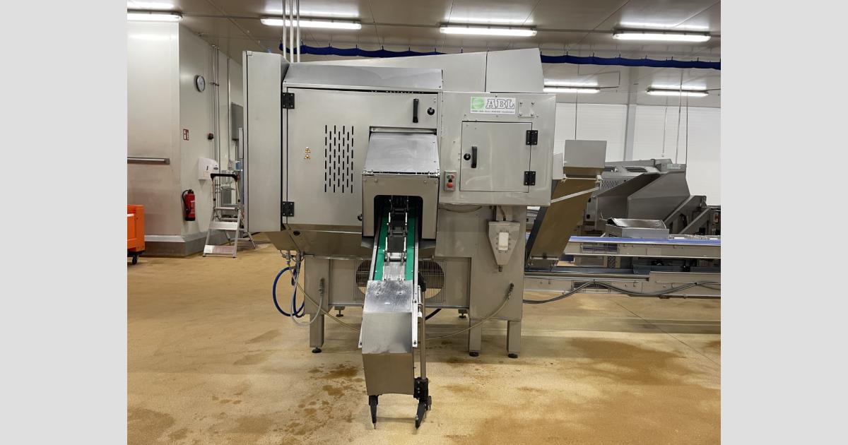 ABL AP15 + GTF pineapple and melon peeler(AP15) and slicer(GTF ...