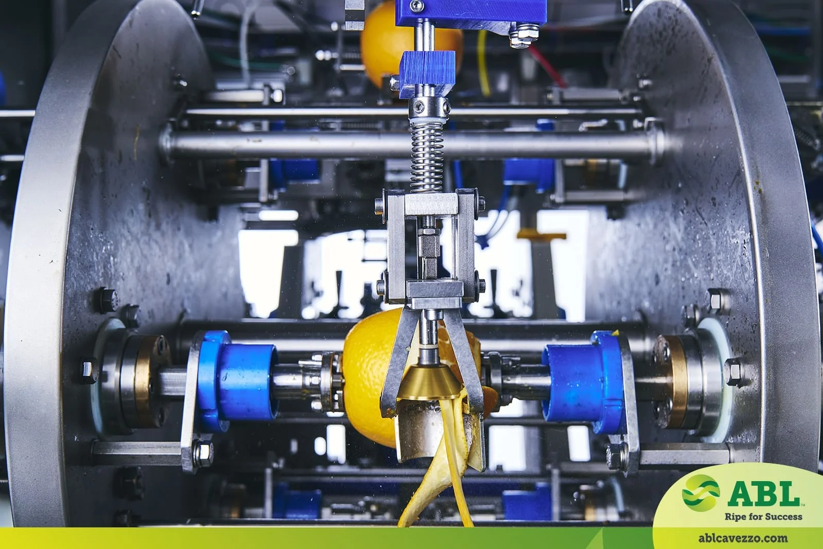 ABL OP30 peeling and slicing machine for oranges • Duijndam Machines