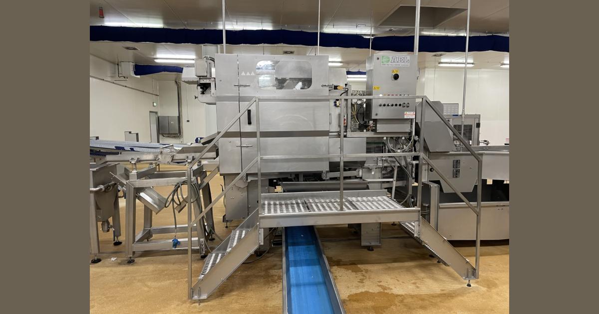 ABL PDS 50 TT Apple peeling and cutting in slices machine. • Duijndam ...