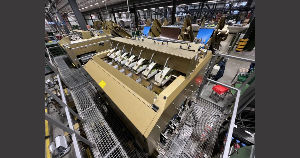 Affeldt weighing machine • Duijndam Machines