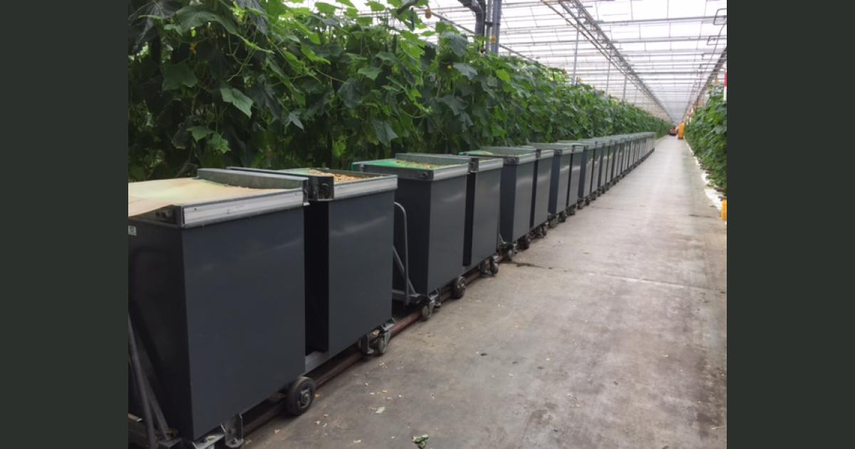 Intrasit Alcoa Container harvesting trolleys - transport system for ...