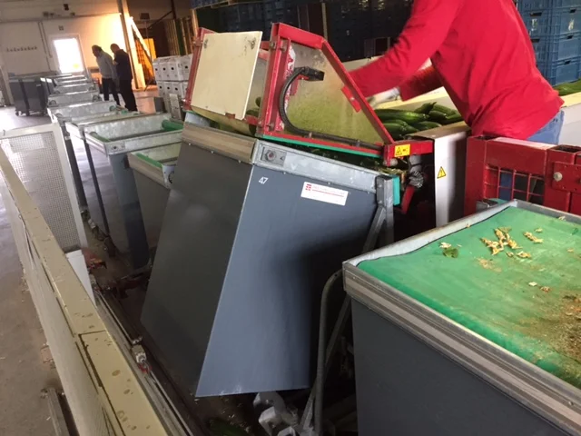 Intrasit Alcoa Container harvesting trolleys - transport system for ...