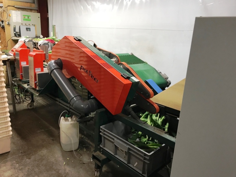 Potveer Quality Buncher Pro bunching machine for tulips • Duijndam Machines