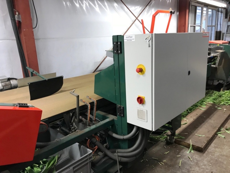Potveer Quality Buncher Pro bunching machine for tulips • Duijndam Machines