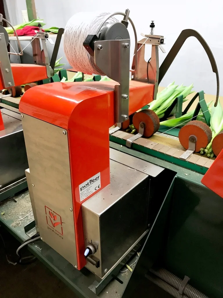 Potveer Quality Buncher Pro bunching machine for tulips • Duijndam Machines