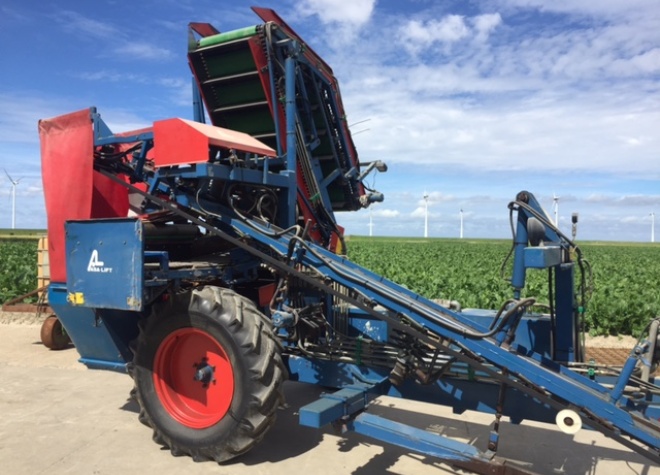 Asa lift 1 row pulled carrot harvester with elevator • Duijndam Machines
