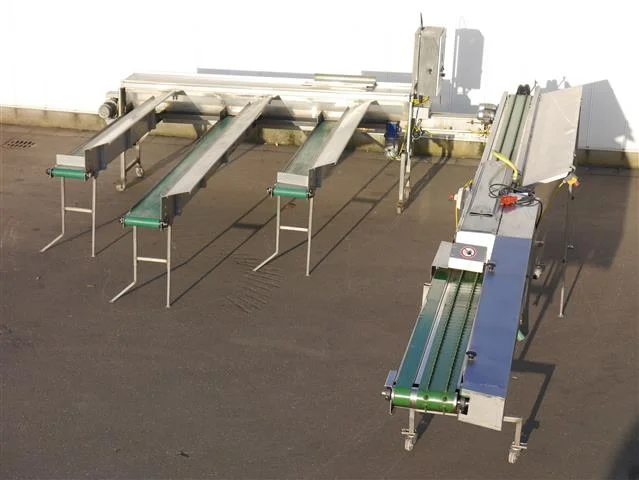 Christiaens semi-automatic grading machine for asparagus with washer ...