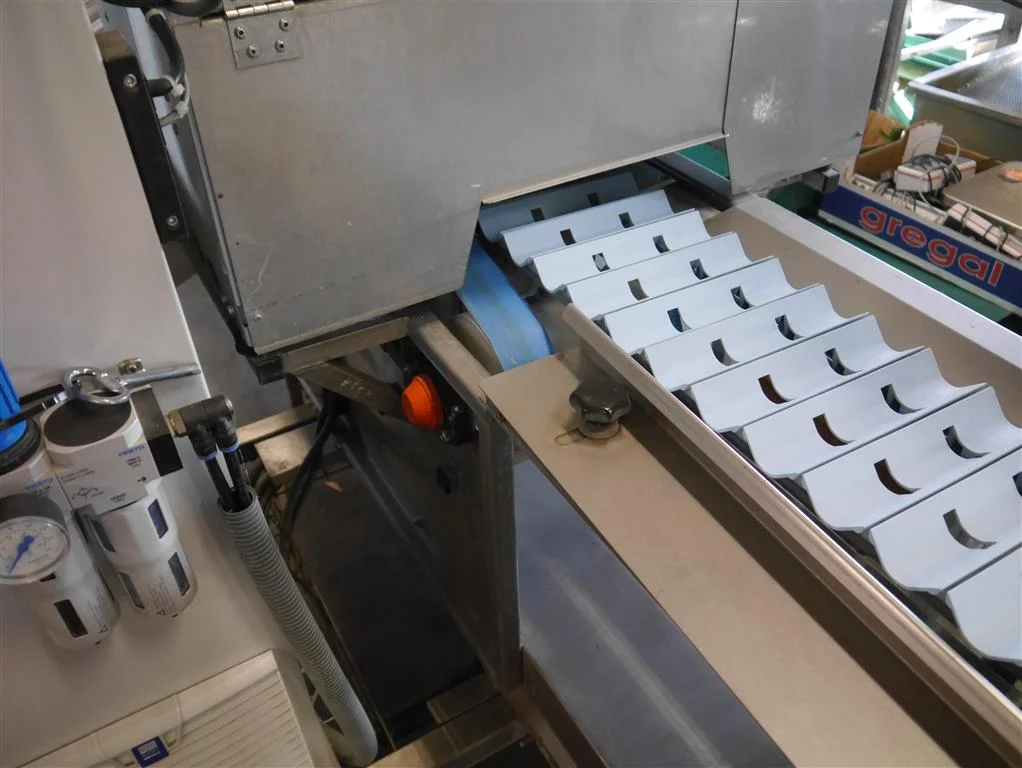 Hermeler Sorting machine with washer • Duijndam Machines