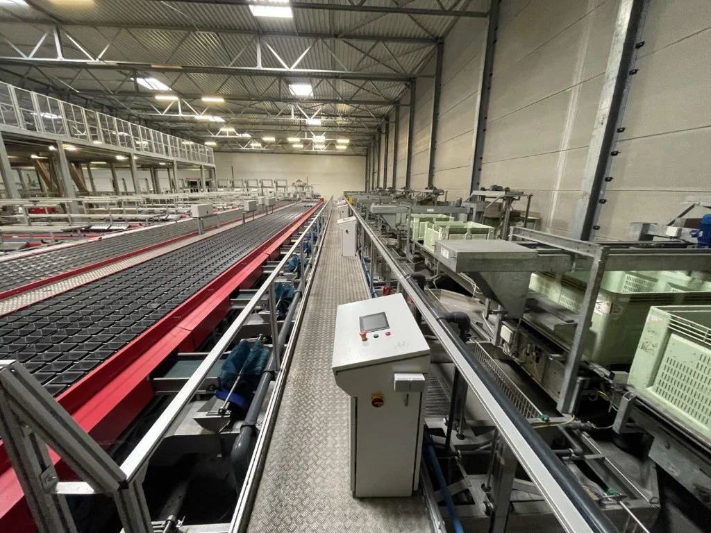 Aweta 2xG AV-8/36+1 grading line machine for apples and pears with 2 x ...