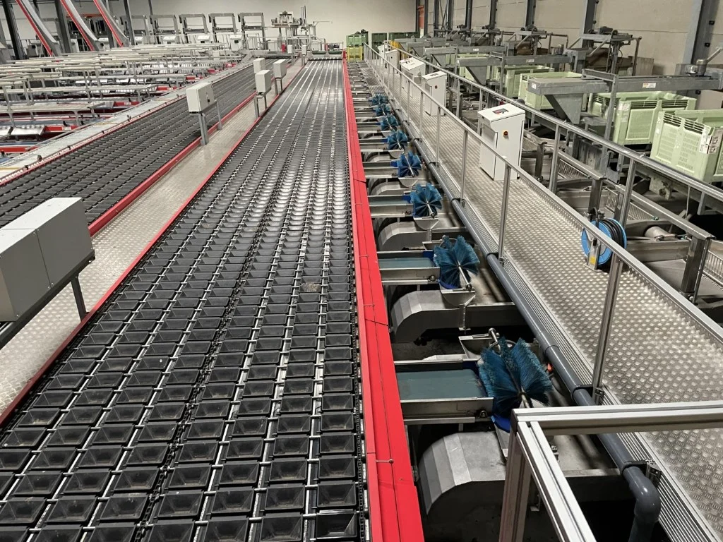 Aweta 2xG AV-8/36+1 grading line machine for apples and pears with 2 x ...