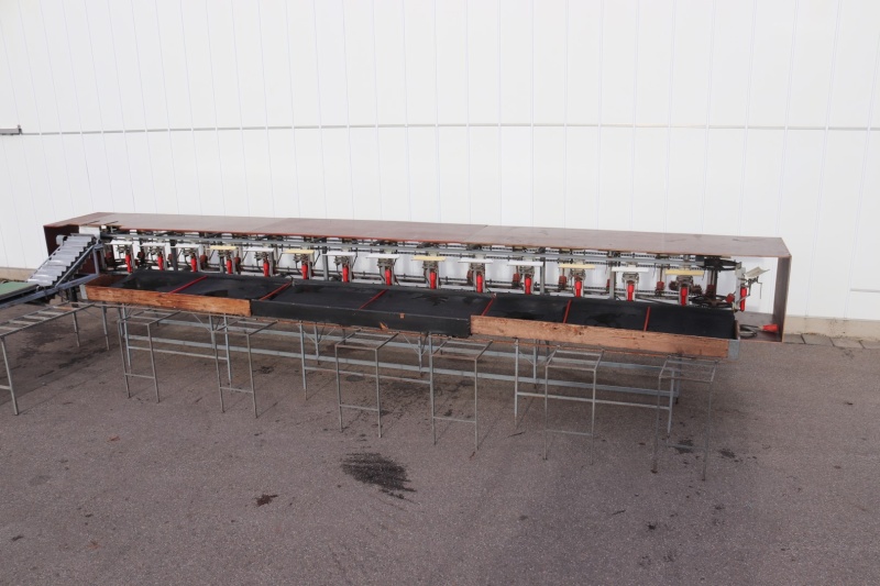 Aweta B32 cucumber grader • Duijndam Machines