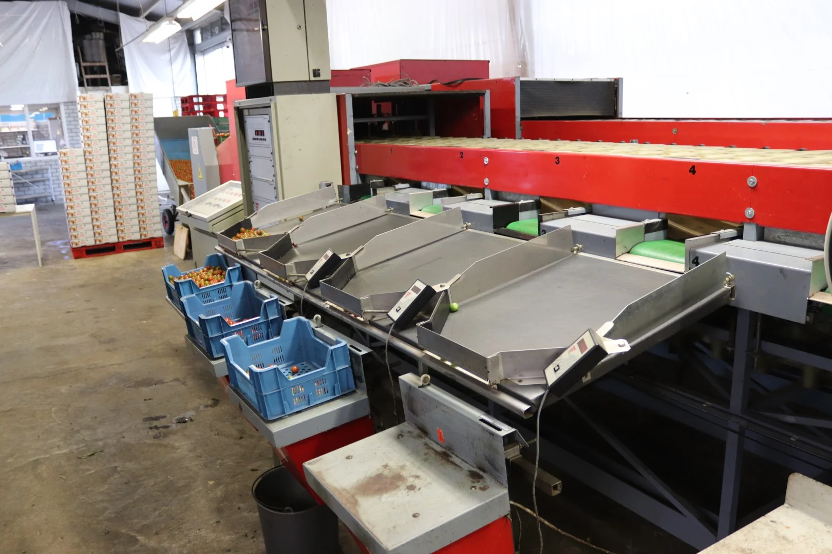 Sorting line for cherry tomatoes with 2 Aweta KG4-16 sorting machines ...
