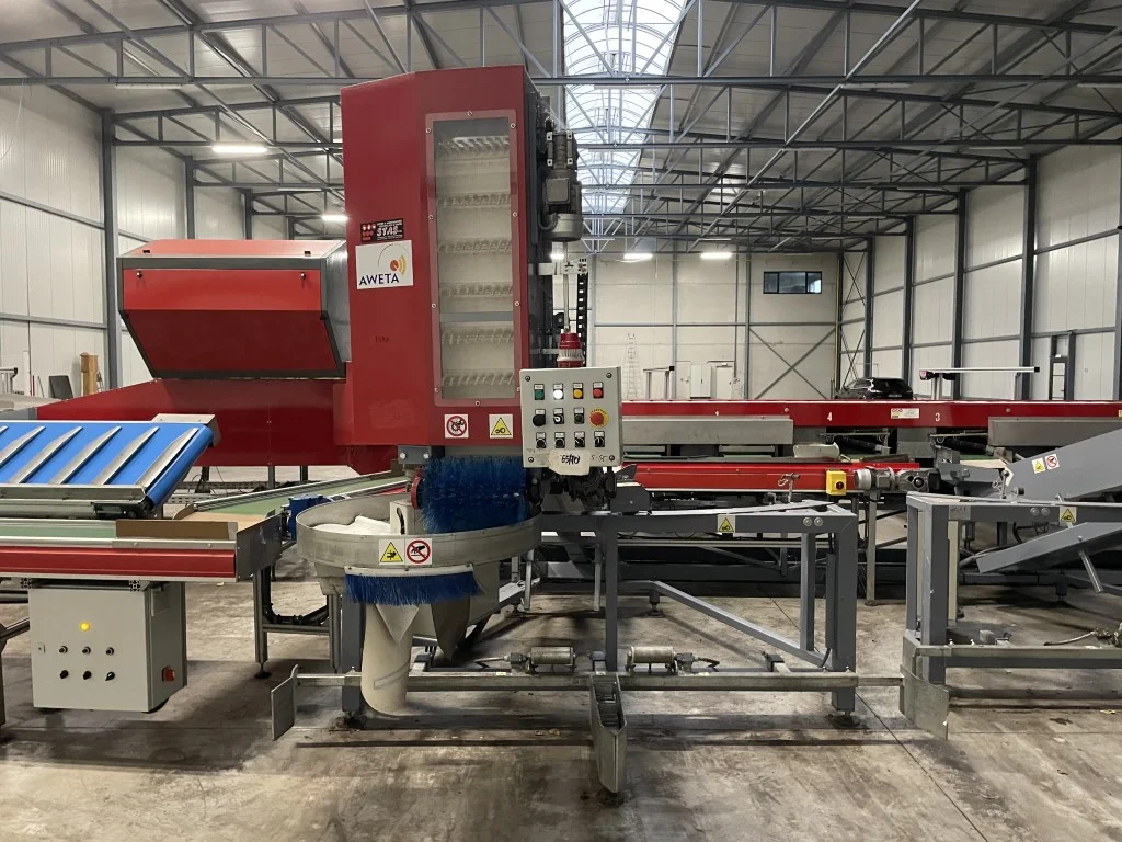 Aweta kistenvuller voor fruit dubbel • Duijndam Machines