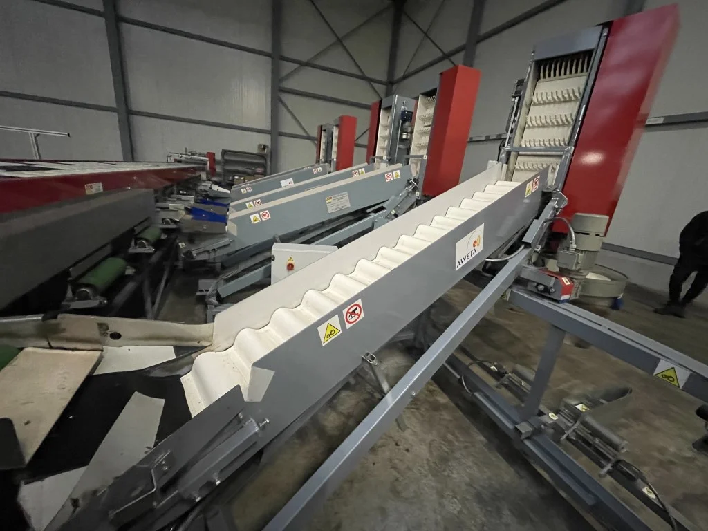 Aweta kistenvuller voor fruit dubbel • Duijndam Machines