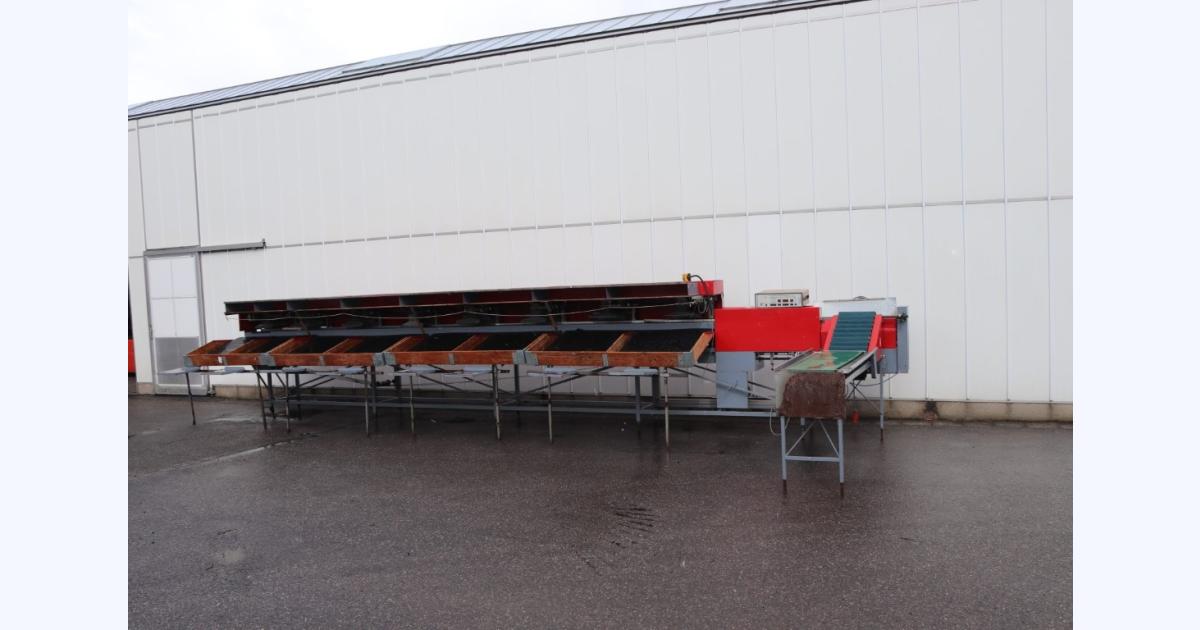 Aweta E8 cucumber sorting machine with feeding conveyor • Duijndam Machines