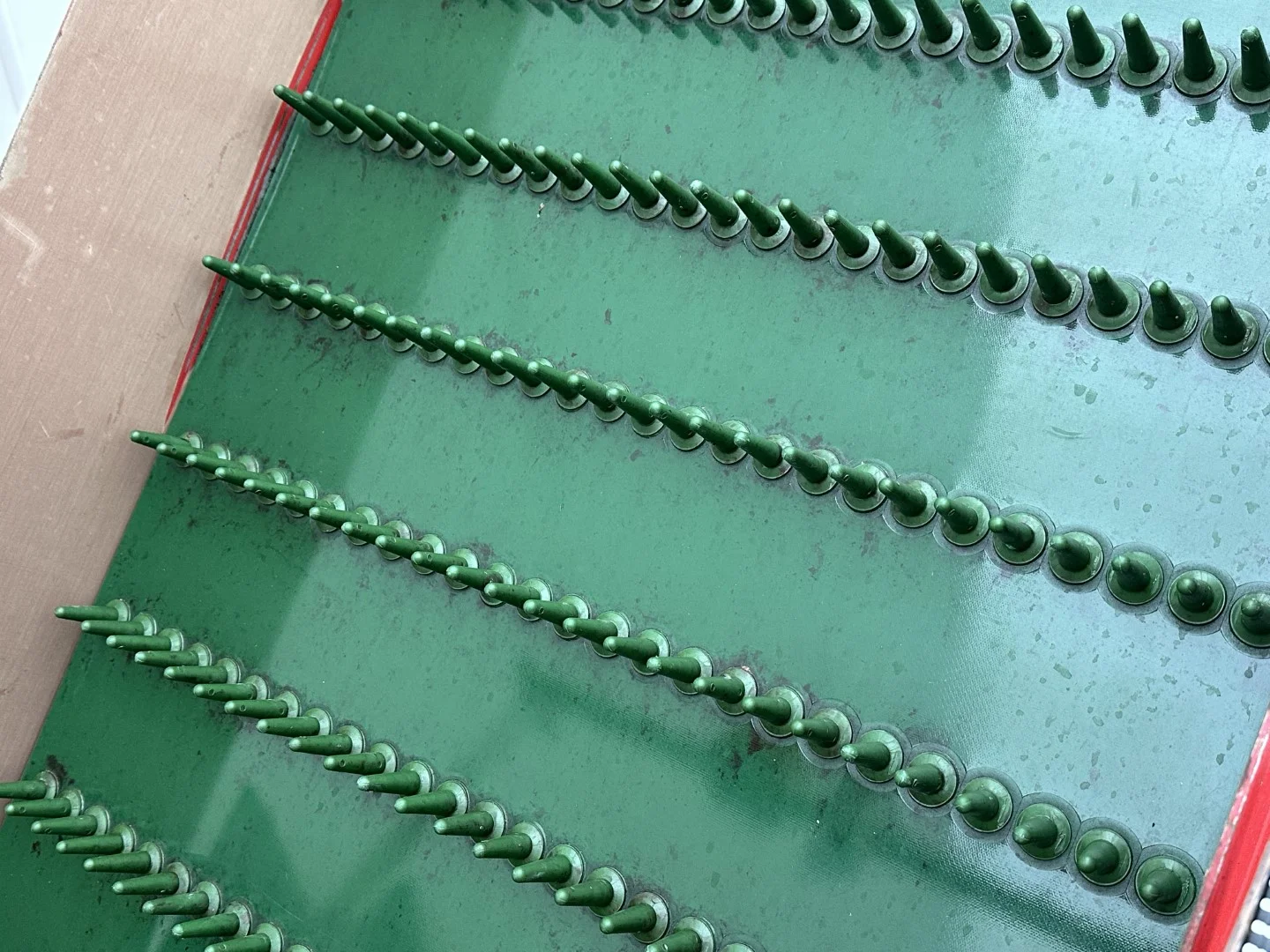 Aweta elevator elevator incline conveyor with rubber fingers and hopper ...