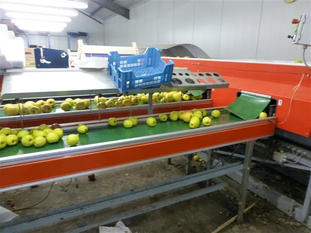 Aweta GM3-9 fruit grading machine • Duijndam Machines