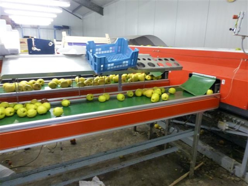 Aweta GM3-9 fruitsorteermachine • Duijndam Machines