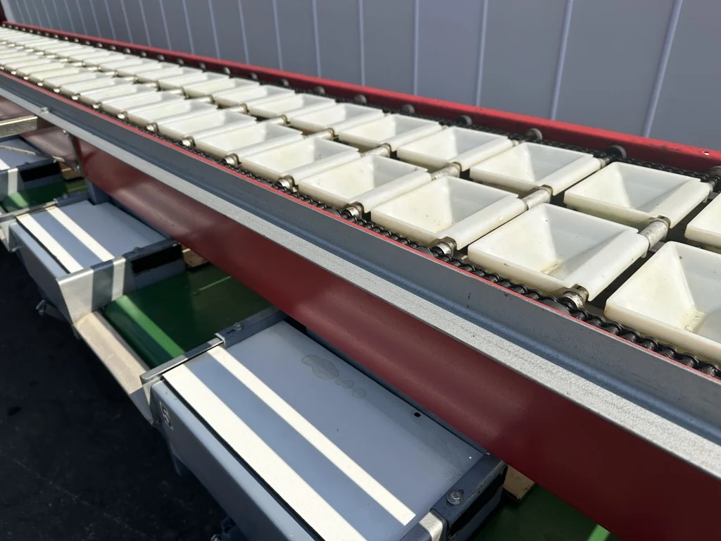 Aweta G2-6 pepper sorting machine • Duijndam Machines
