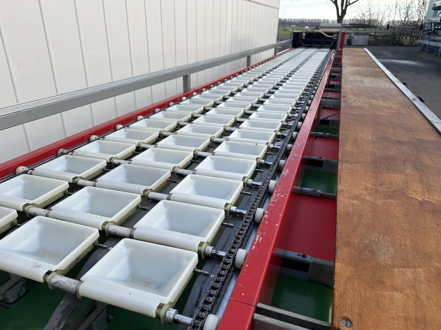 Aweta G3-8 pepper sorting machine • Duijndam Machines