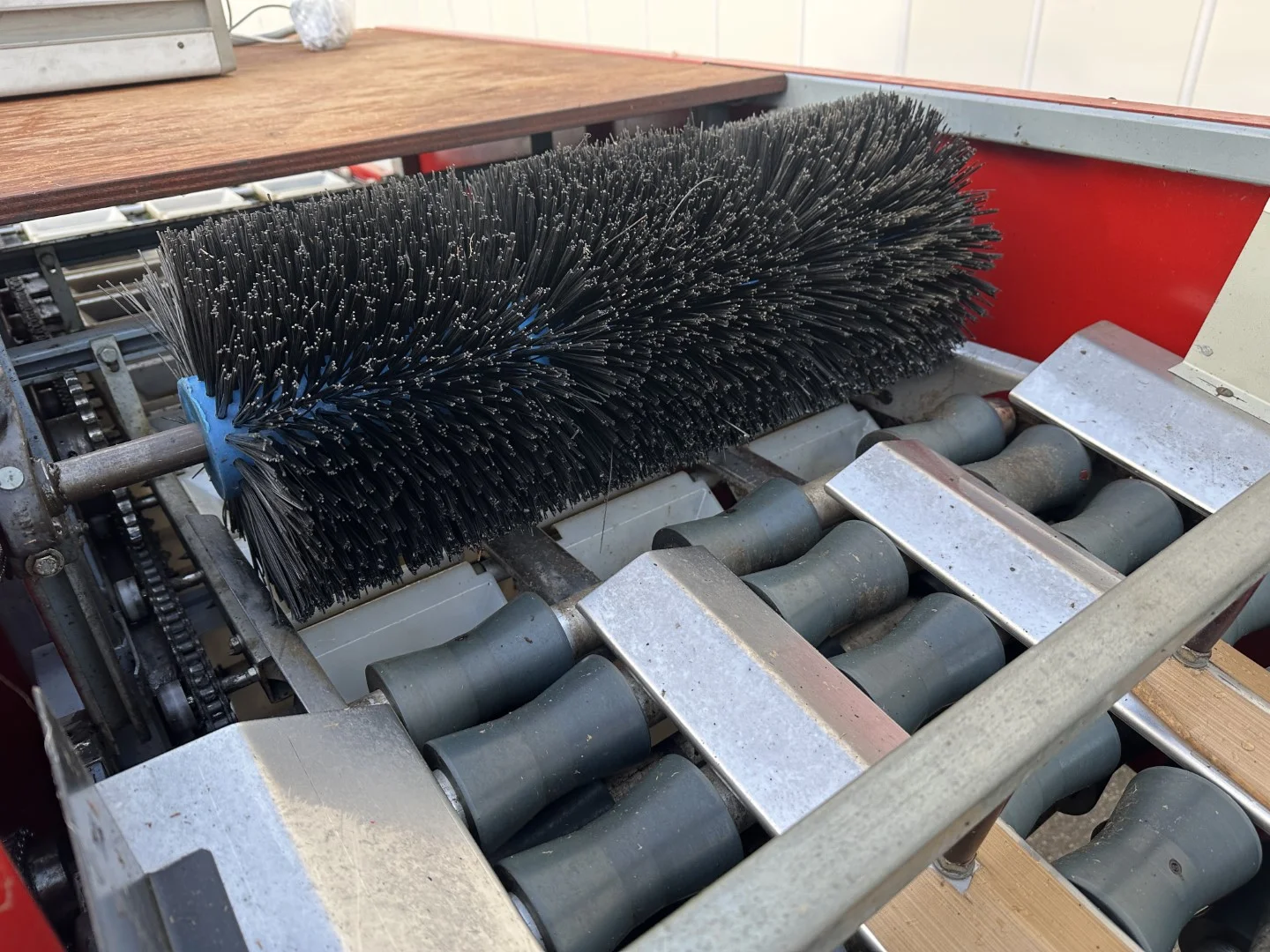 Aweta G3-8 pepper sorting machine • Duijndam Machines